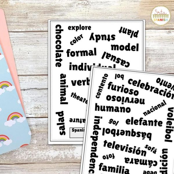 How to Play the Flyswatter Game in Pairs: Partner Matamoscas - Srta Spanish