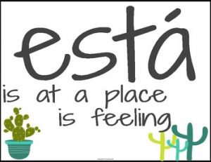 Spanish High Frequency Verb Posters Cactus Theme EDITABLE - Srta Spanish