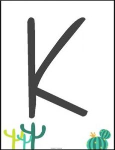 Spanish Alphabet Cactus Theme - Srta Spanish