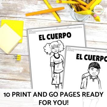 Label Parts of the Body in Spanish Worksheets - Srta Spanish
