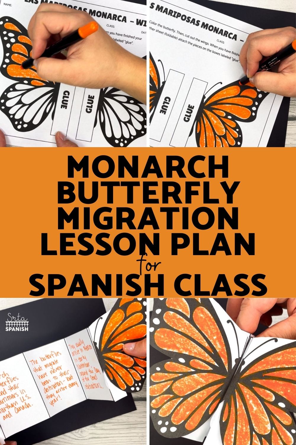 Monarch Butterfly Migration Lesson Plan for Spanish Class - Srta Spanish