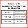 Possessive Adjectives Spanish Practice Worksheets - Srta Spanish