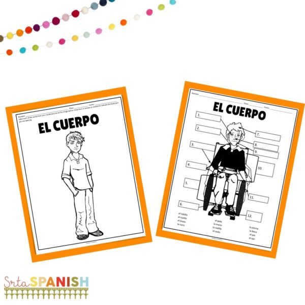 Spanish Body Parts Worksheet for Las Partes del Cuerpo - Srta Spanish