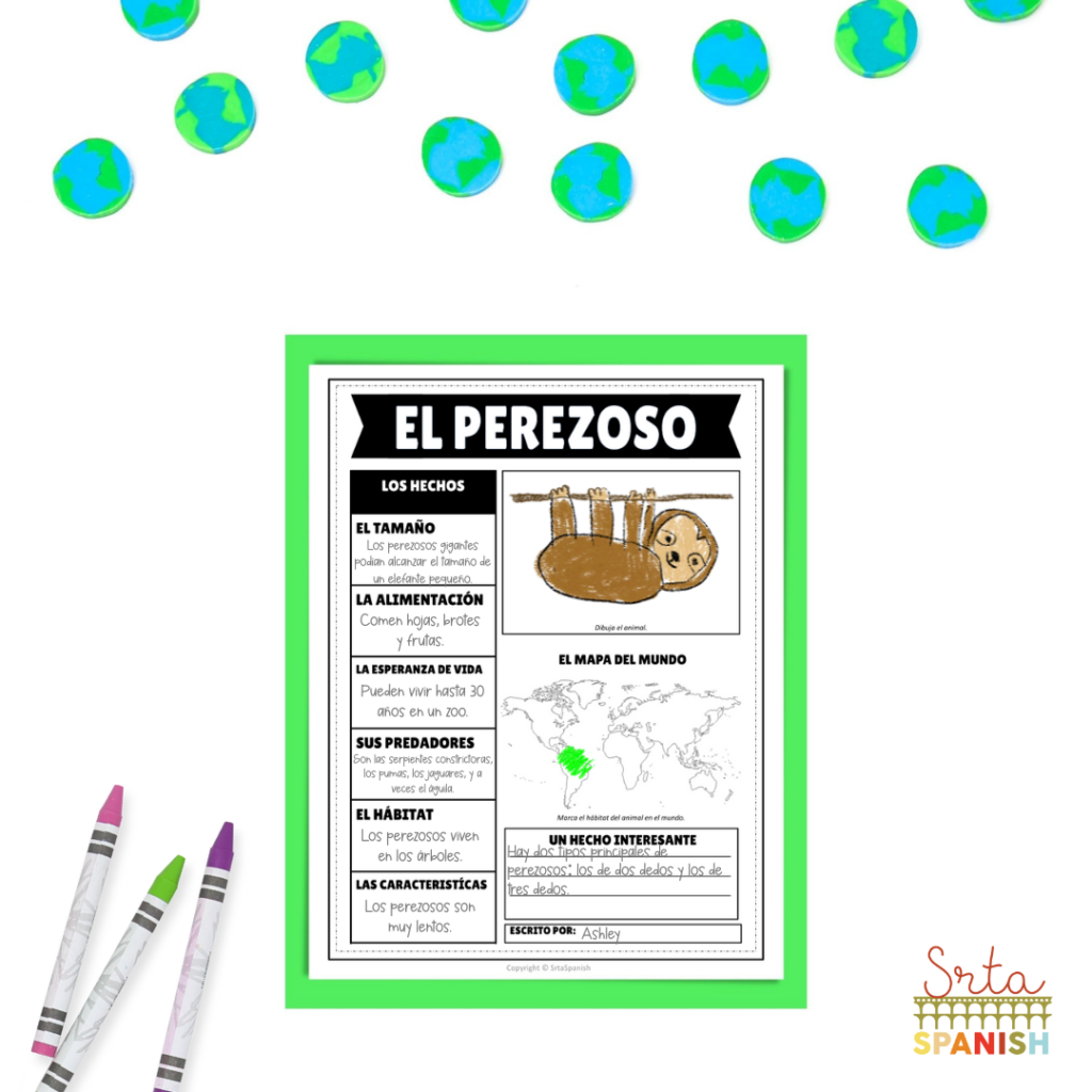 Spanish Projects for High School Students - Srta Spanish